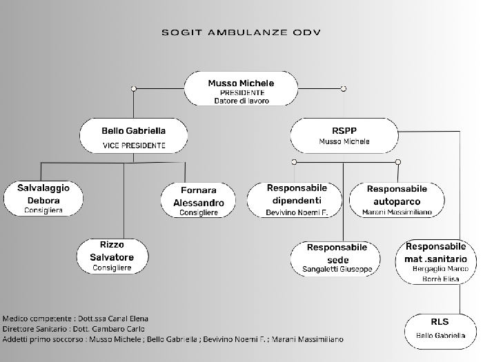 Organigramma dir. sanitaria :: Sogit Ambulanze OdV